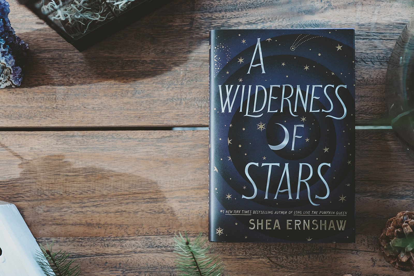 Shea Ernshaw – Official Author Site