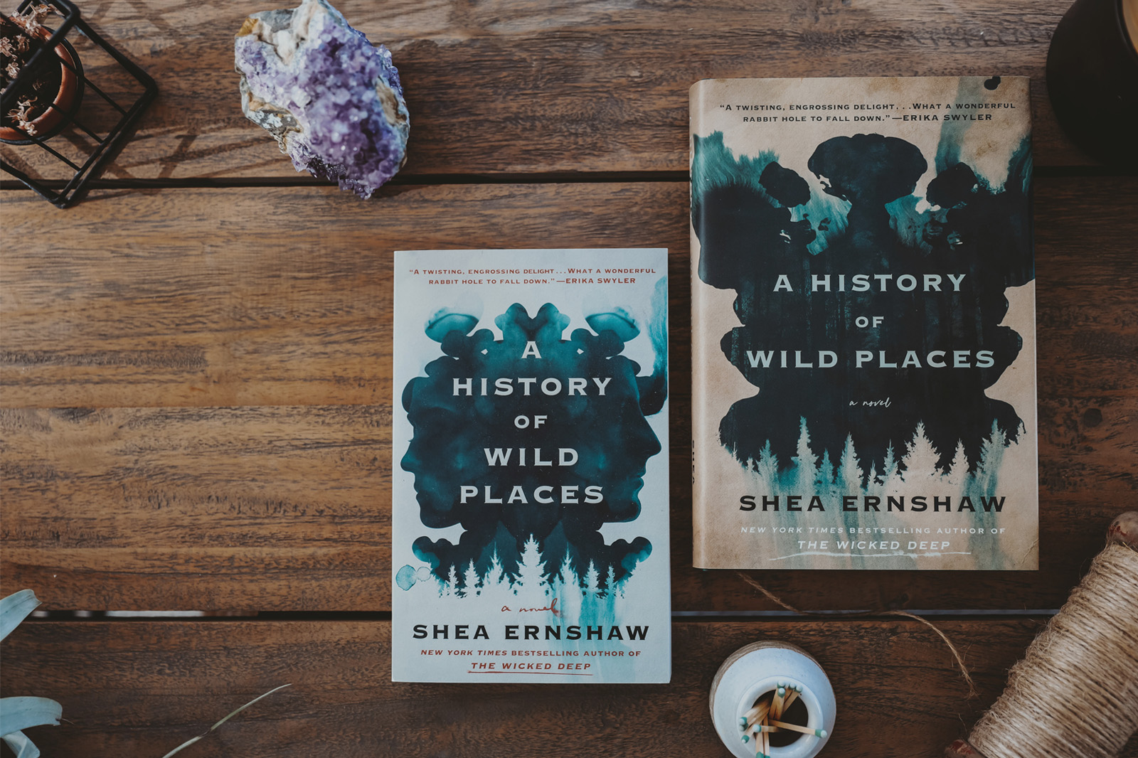 Shea Ernshaw – Official Author Site